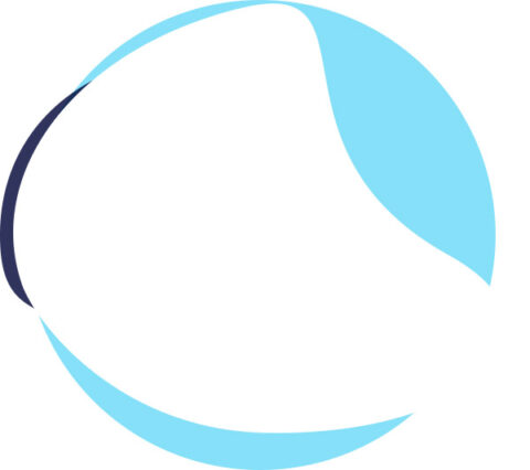 Best Web Design Agency in USA - Intel Soft Enterprises
